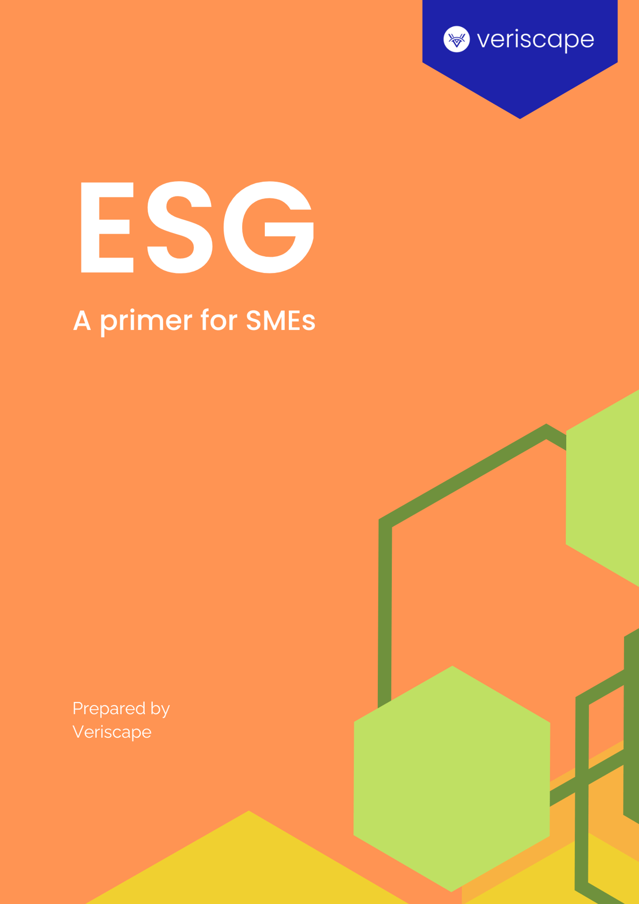 ESG-A primer for SME's